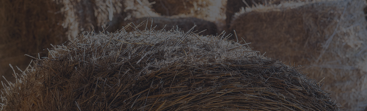 The Complete Guide to Hay Quality Testing for Horses