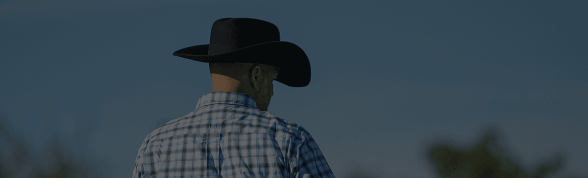 Cowboy Hats: Shapes and Styles | Schneider Saddlery