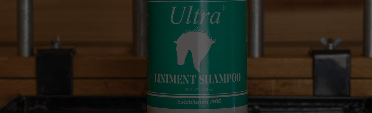 Guide to Horse Liniment: Types,... | Schneider Saddlery