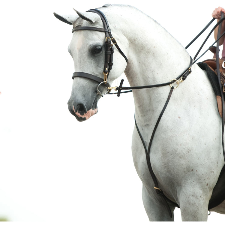 Victor Supreme Gene LaCroix Arabian Training Caveson for Horses